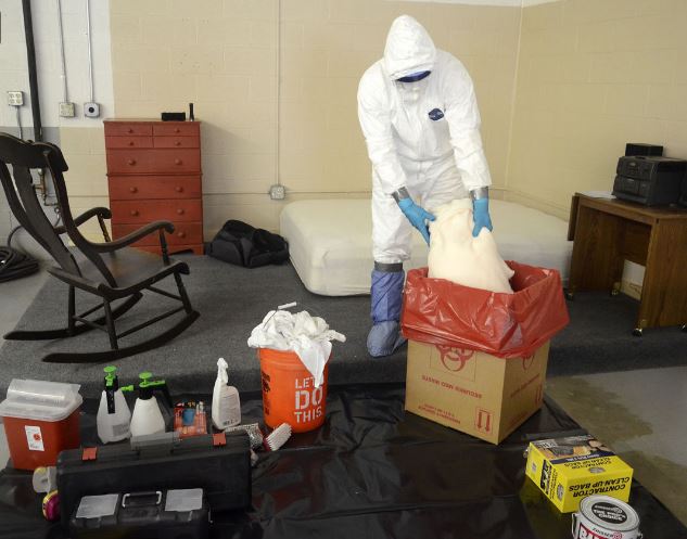 Steri-Clean - Franchise Finders